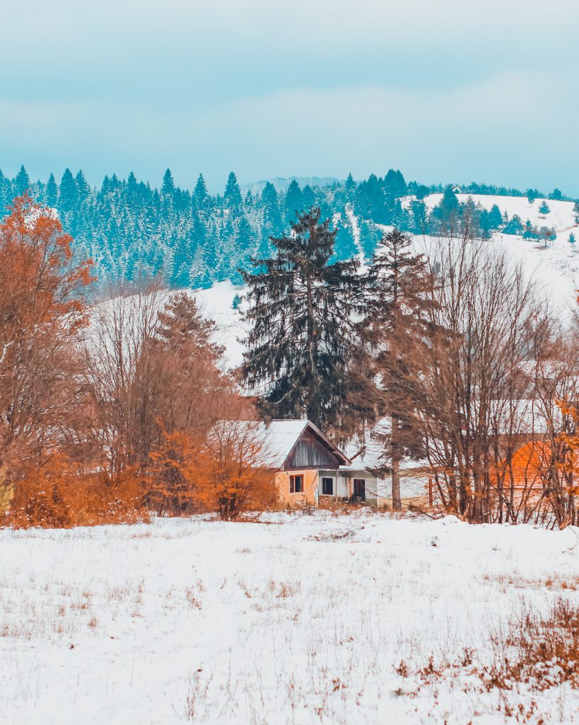Zabola Estate, RO - Stories & Colours